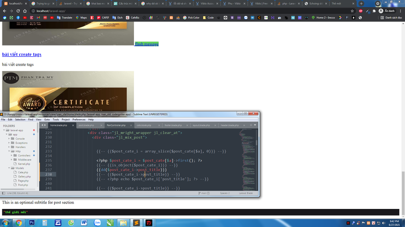 lỗi dd và show value trong Laravel - Viblo