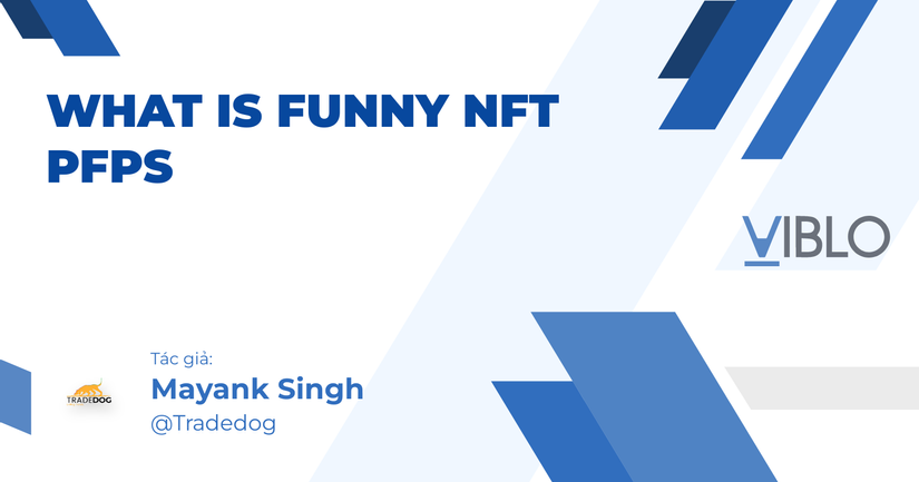 What is Funny NFT PFPs