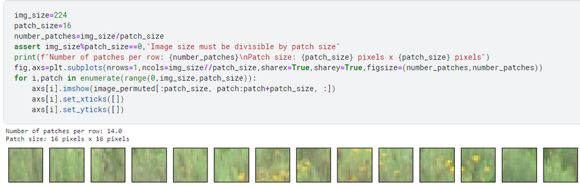 From Vision Transformer Paper to code