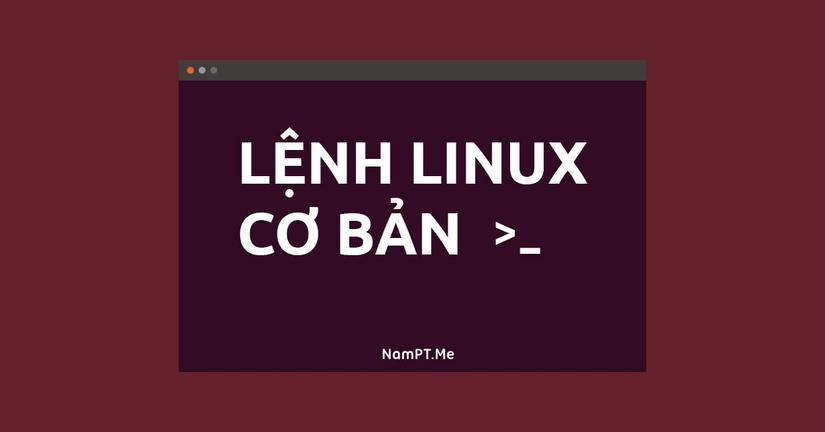 Hướng Dẫn Sử Dụng Các Lệnh Cơ Bản Trong Linux