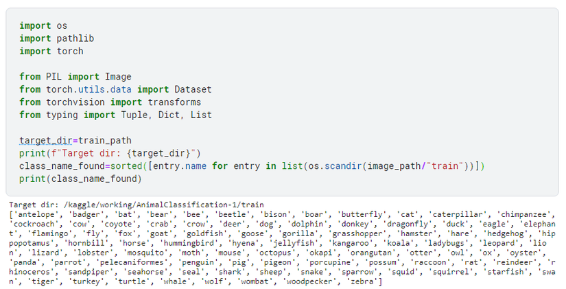 From Vision Transformer Paper to code