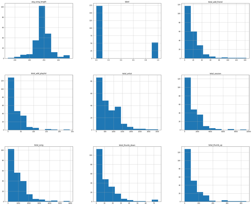 Prediction of Customer Churn on Sparkify