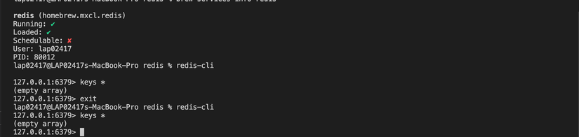 Golang Redis Lưu đơn Giản