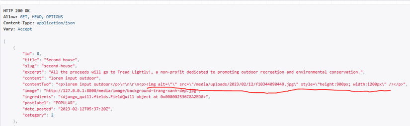 Ckeditor trên Django + React gặp lỗi - Viblo