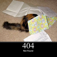 Phan Anh Quan - Viblo