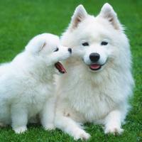 KPT (KEEP - PROBLEM - TRY) - Những điều cần biết