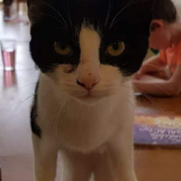 Claim check pattern trong azure