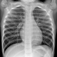 So sánh và copy Object trong javaScript