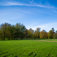 Cách để custom domain cho github pages