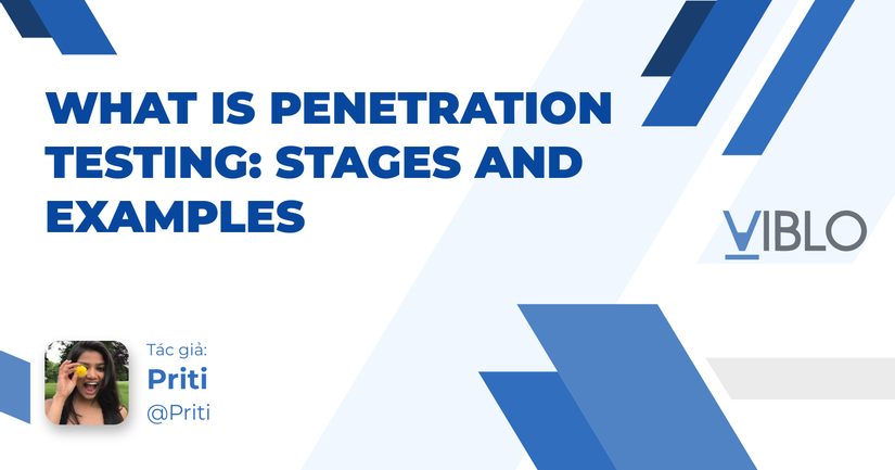 What is Penetration Testing: Stages and Examples