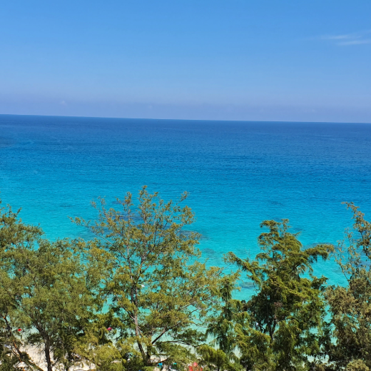 Phạm Thanh Phong - Viblo