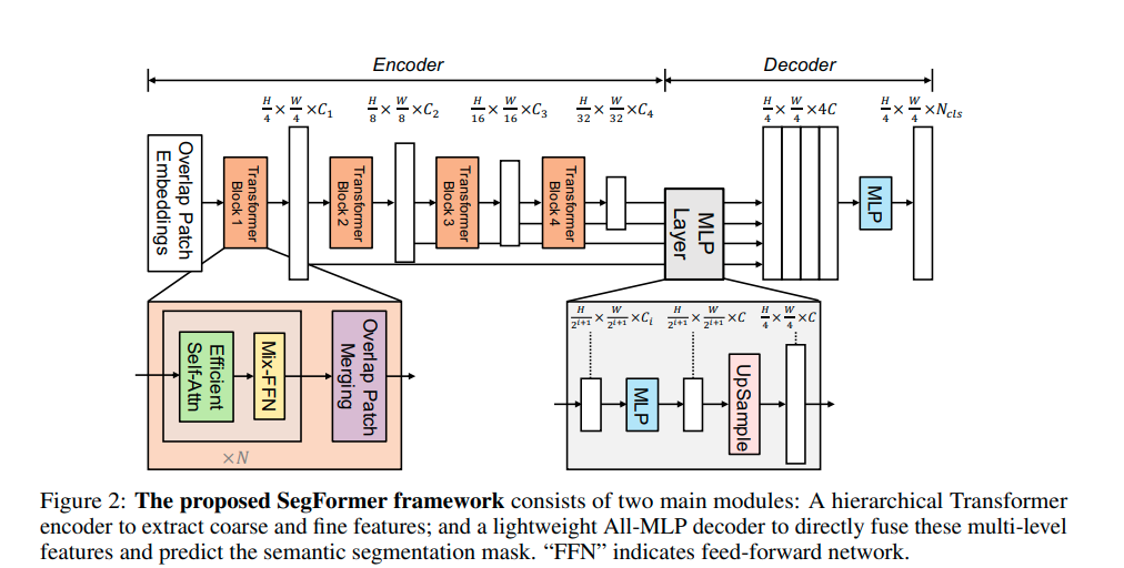 Giới thiệu SegFormer - Mô hình Transformer đơn giản, hiệu quả cho bài ...