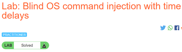 OS Command Injection - Thực Thi Shell Code Cùng "Idol" - Viblo