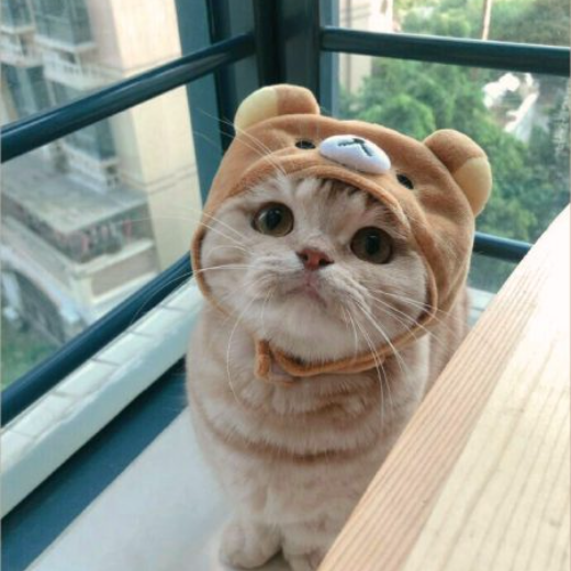 Bui Tuan Anh C - Viblo