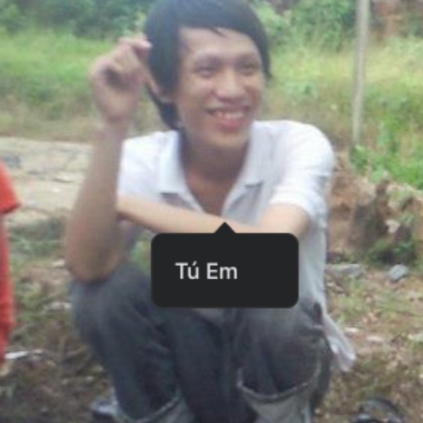 Phan The Chau - Viblo