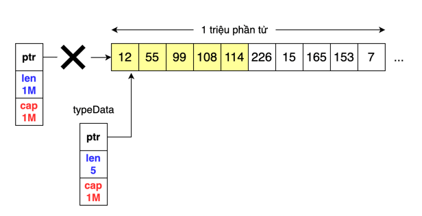 [Golang Common Mistakes] Sai lầm khi sử dụng slicing slice trong Golang