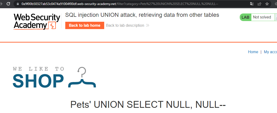 SQL injection vulnerabilities - Lỗ hổng SQL injection (Phần 4)