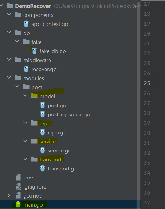 [Golang] Dealing with the panic in your rest api.