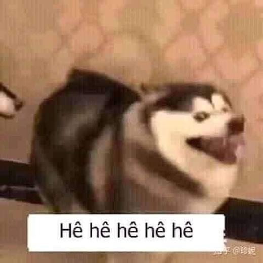 Hoàng Phúc - Viblo