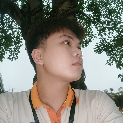 Hoàng Minh An - Viblo