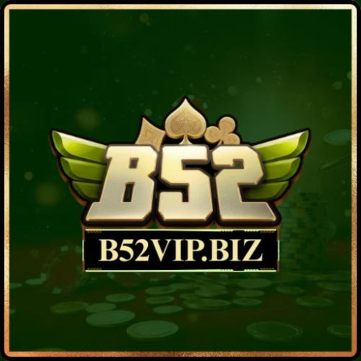 Bvip Biz Viblo