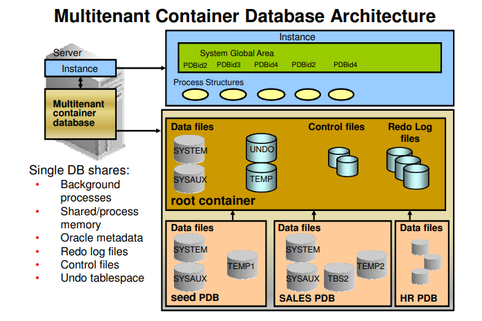 Tạo user và gán quyền kết nối trong Database Oracle 19c
