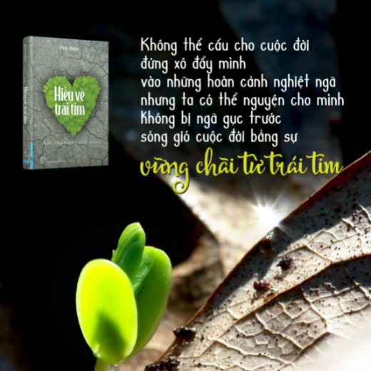 Mộc Quân Dev - Viblo