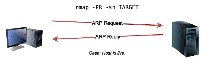 NMAP - Live Hosts Discovery