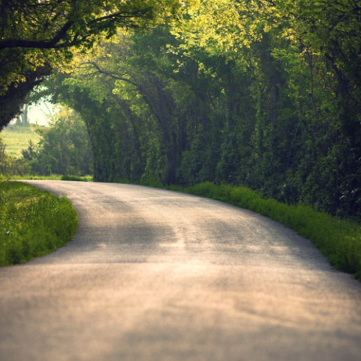 Khoa Tran Huy - Viblo