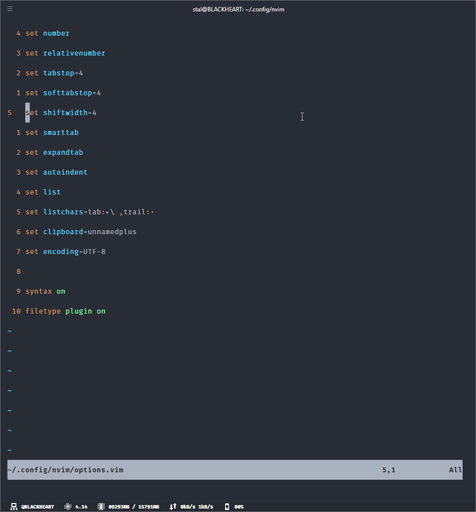 Tùy biến Neovim thành một code editor chất lượng - Viblo