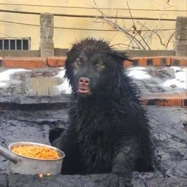 Minh Hoàng Lê - Viblo