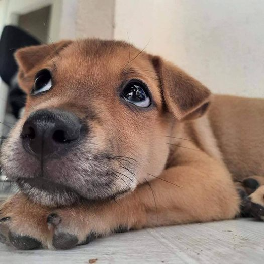 Tới Võ Hòa - Viblo