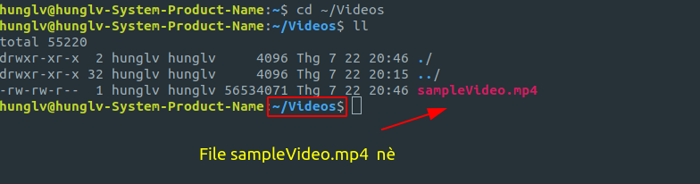 Sử Dụng FFMPEG Để Giải Mã Luồng stream H.264 Với Thư Viện Tăng Tốc Phần Cứng NVIDIA Codec SDK ...