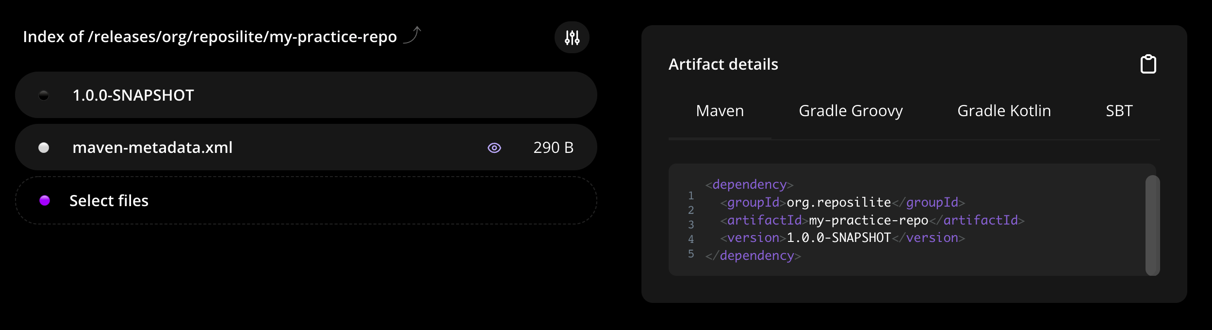 Custom Self-Hosted Maven Repository