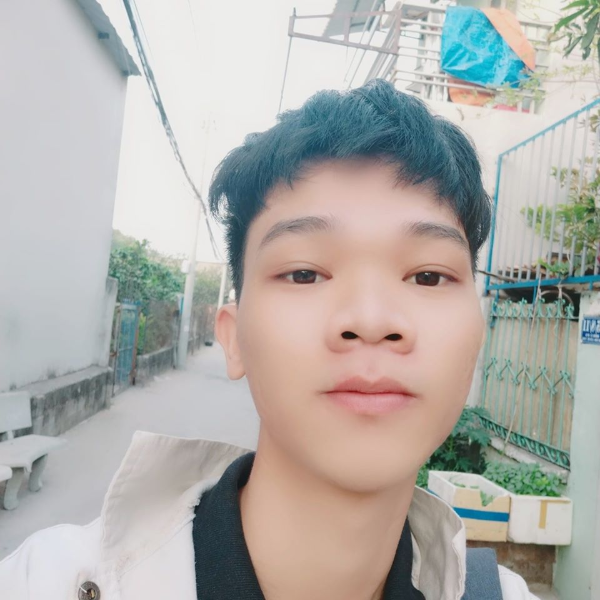 Phong Nguyễn - Viblo