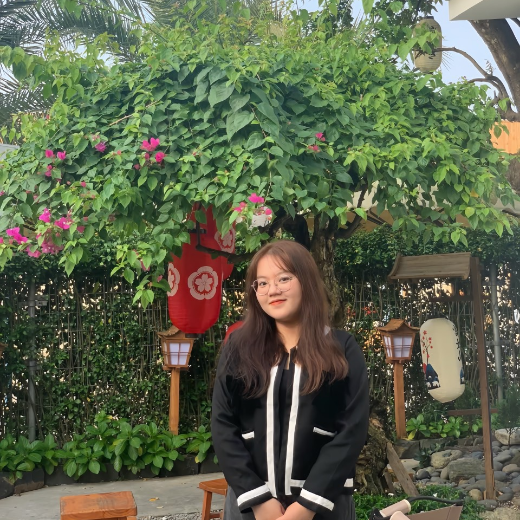 Phan Thị Thảo Ngân - Viblo