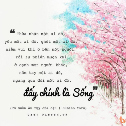 Nam Hoài Phan - Viblo