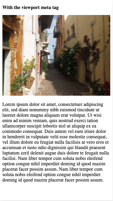 CSS Guide: Responsive web design and media queries