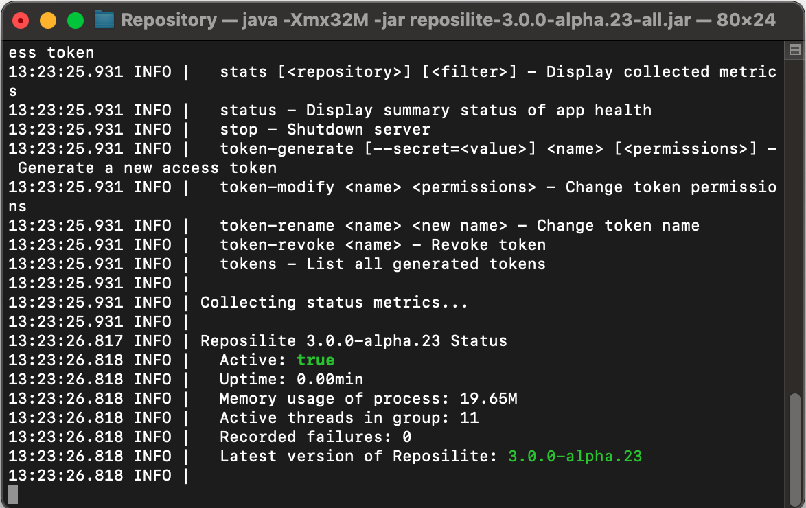 Custom Self-Hosted Maven Repository