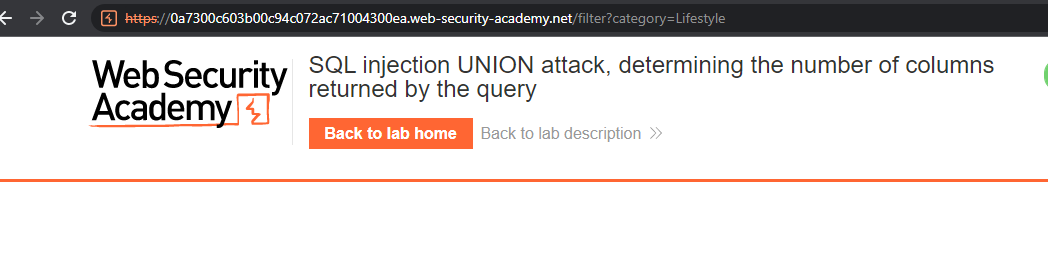SQL injection vulnerabilities - Lỗ hổng SQL injection (Phần 2)