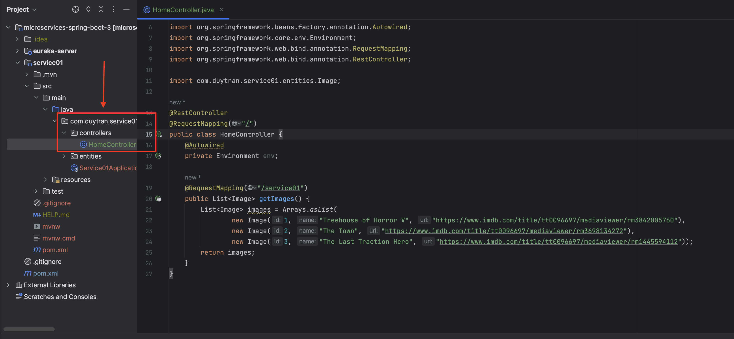 Microservices với Spring Boot và Spring Cloud (Phần 2) - Cấu hình dự án ...