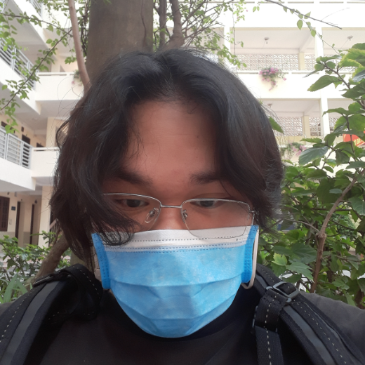 Nguyễn Phúc Hoàng Anh - Viblo