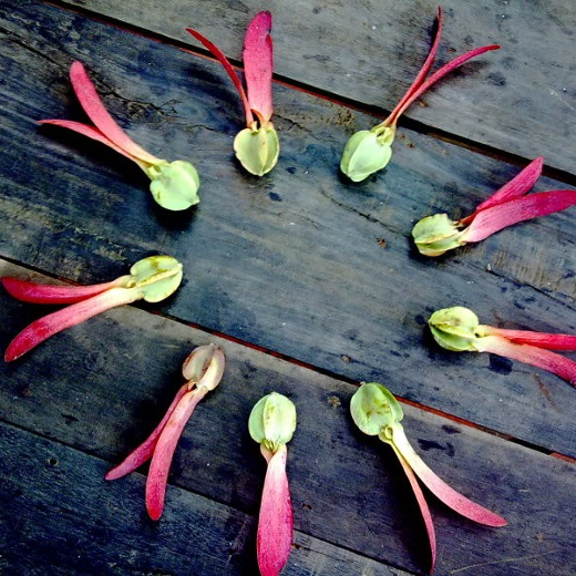 NGUYEN TRUNG - Viblo