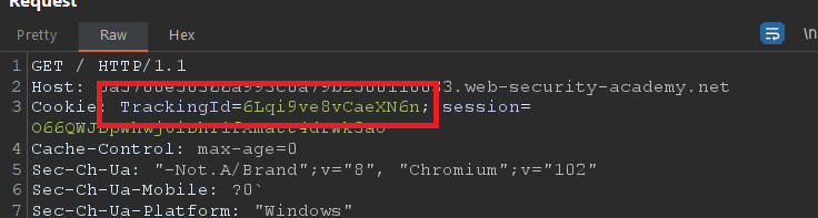 SQL injection vulnerabilities - Lỗ hổng SQL injection (Phần 7)
