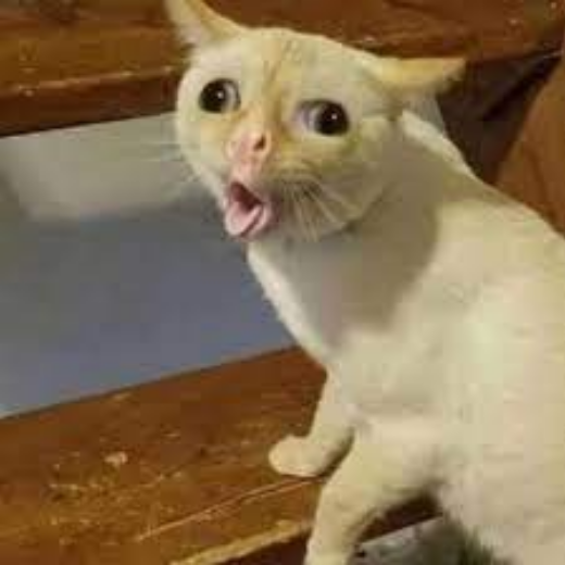 Ho Thanh Tinh - Viblo