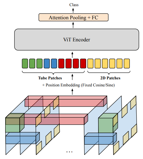 Paper reading | Rethinking Video ViTs: Sparse Video Tubes for Joint ...