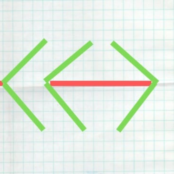 Cuong Nguyen - Viblo