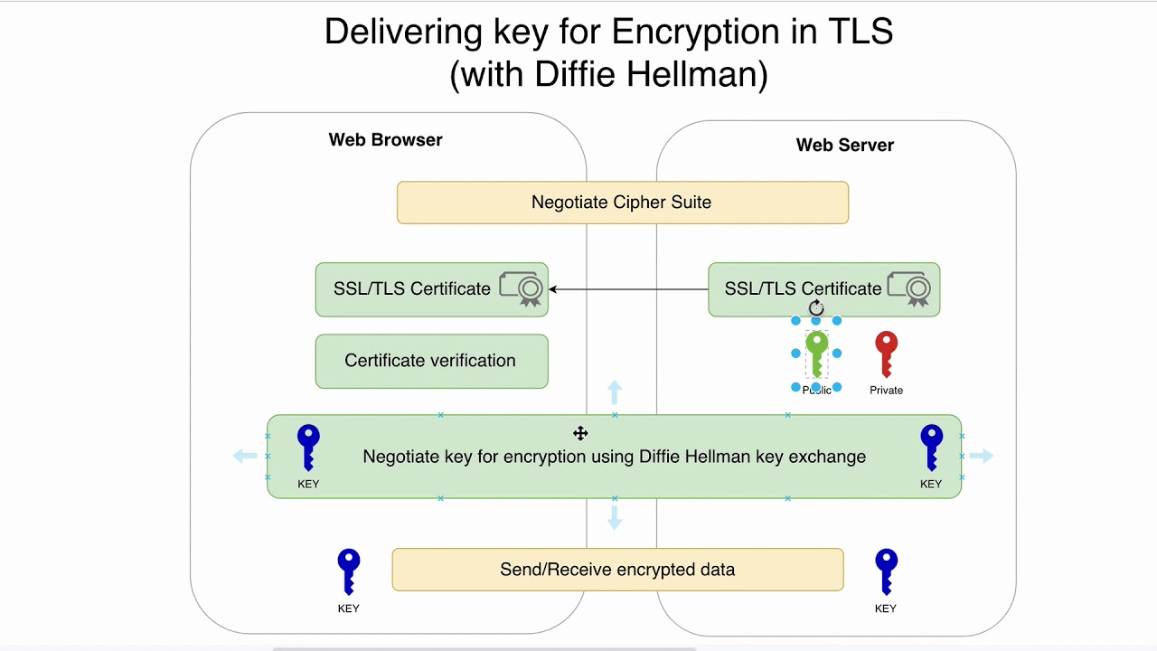 HTTPS là gì? Giải thích chi tiết SSL/TLS bằng chuyện tình Chó và Mèo